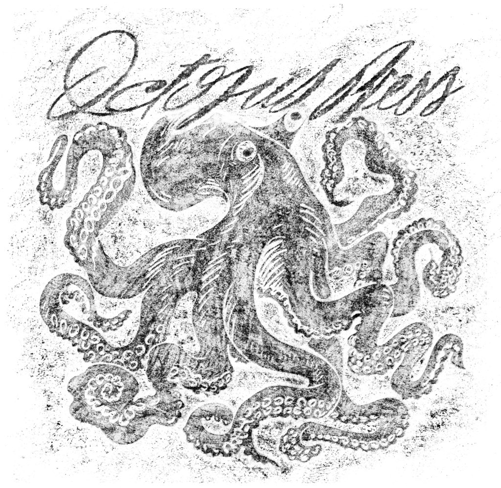 Ostravská městská galerie založila nakladatelství Octopus Press ...