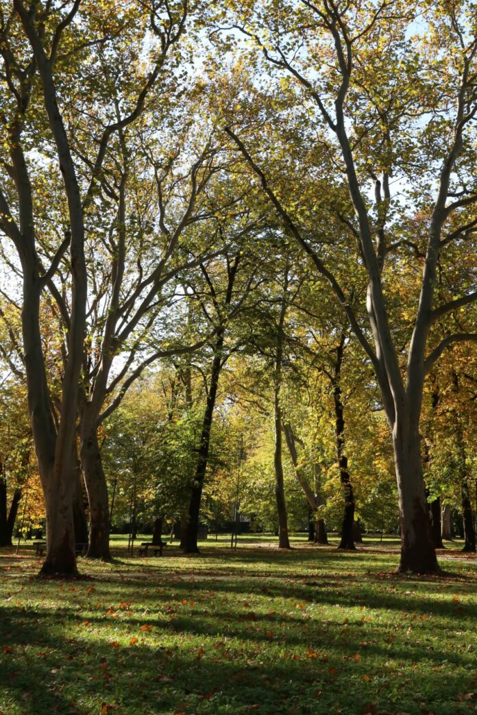 Pozvánka na přednášku Zoo Ostrava: Ostravské parky | Magazín NAŠE MĚSTO